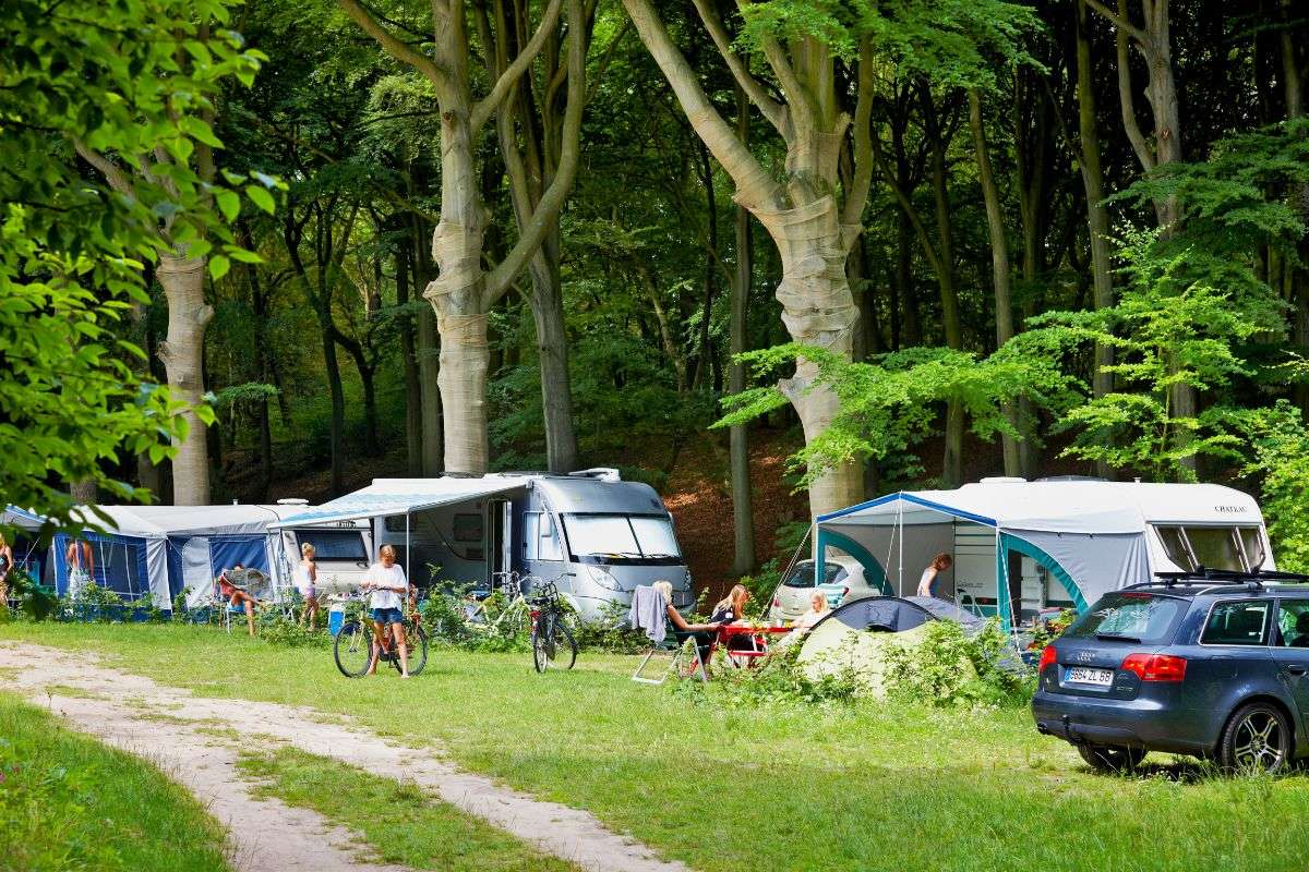 Beukenveld + privé-sanitair - Camping - Vakantiepark Duinrell