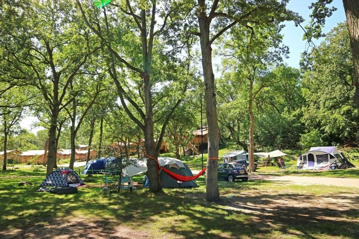 Duinvallei - Camping - Vakantiepark Duinrell