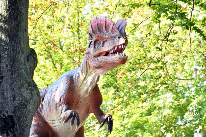 Duinrell Dino Discovery - 1 okt. - 7 nov. in het attractiepark!
